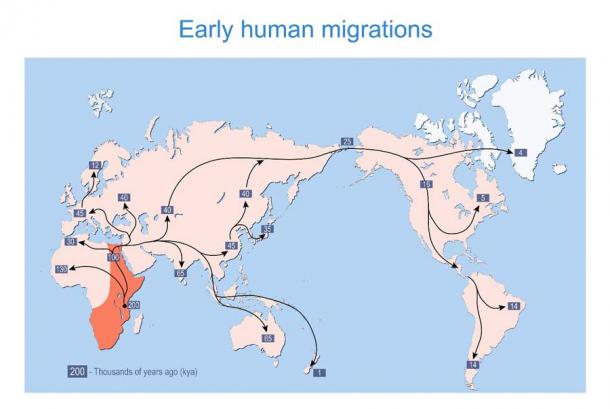 AI Finds New Neanderthal and Denisovan DNA Mutations in Human Genome ...