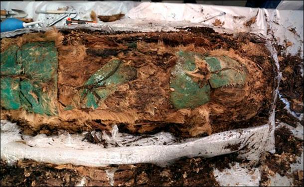 Are You My Mummy? DNA Tests to Seek Modern Relatives of 800-Year-Old ...