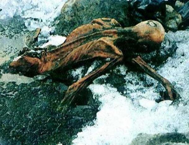 When Your Ancestral Forefather Is a Mummy: 19 Descendants of 5,300-Year ...