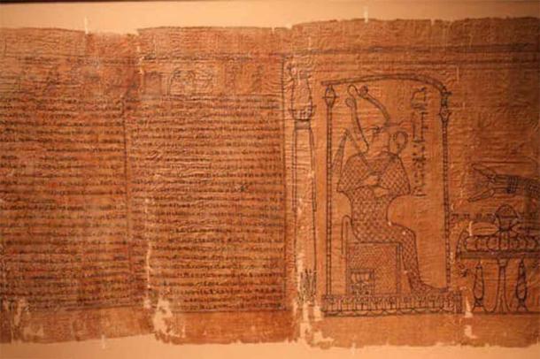 First Public Display of 16-meter-long Papyrus Found in Saqqara Casket ...