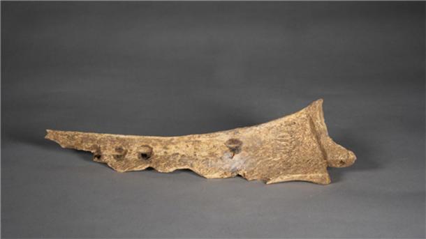 Kneeling Decapitated Skeleton was Ancient Chinese Sacrifice Victim ...