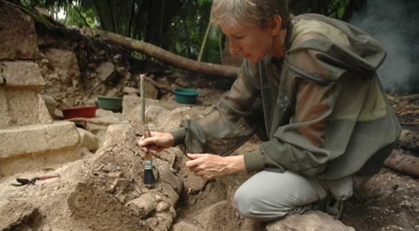 Archaeologists Uncover New Clues on the Collapse of the Maya ...