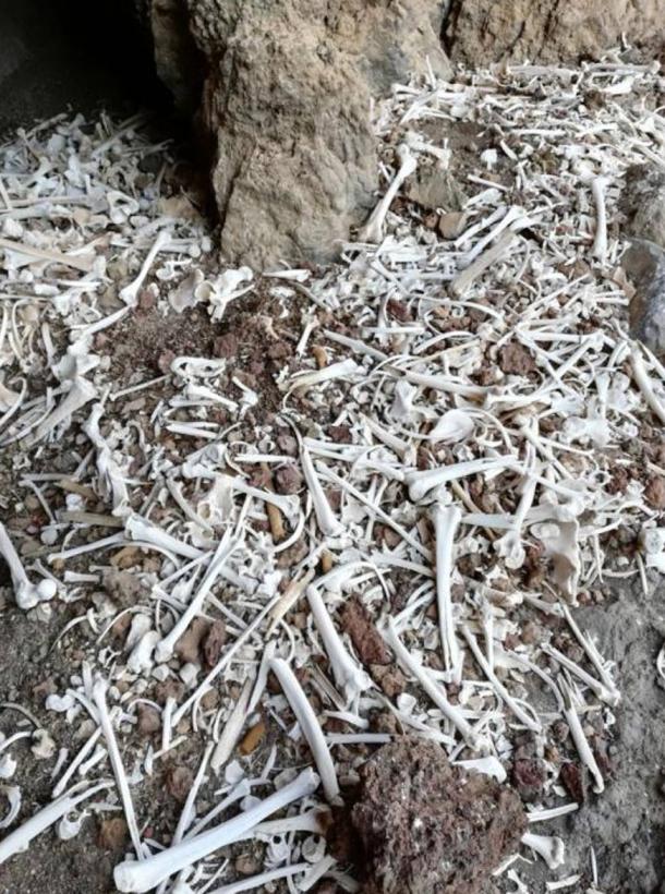 Dozens of Mummies and Skeletons Found in Canary Islands Cave Tomb ...