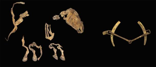 Oldest Wooden Framed Saddle Reveals Secrets of Equestrian Military ...