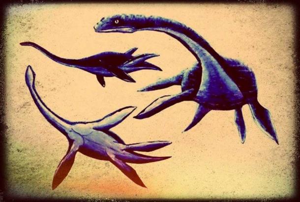 Unearthing Unexpected Fossil Usage in Ancient Medicine (Part 2): Dragon ...