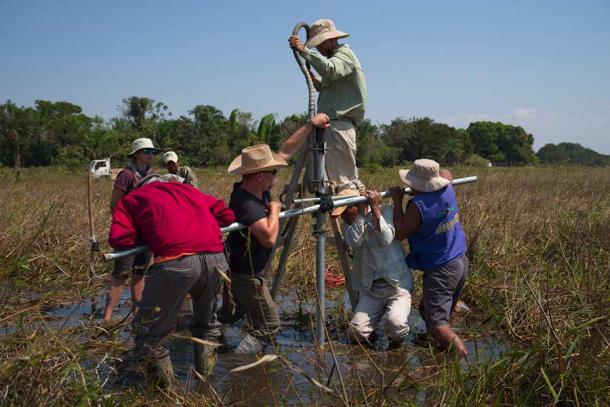 Amazonians Drastically Altered the Rainforest 3,500 Years Ago | Ancient ...