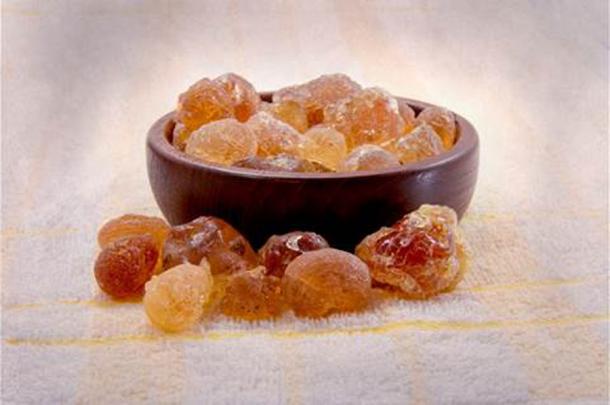 Manna: What Was the Mysterious Substance that Fed the Israelites for 40 ...