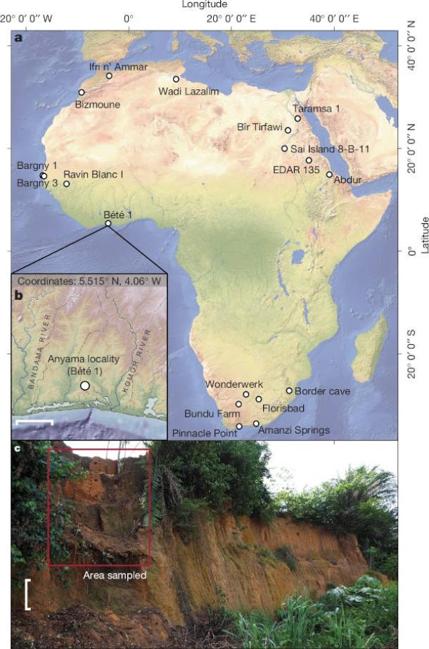 Revolutionary Study Shows Humans Lived in African Rainforests 150,000 ...