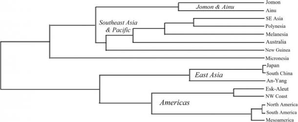 Study of Ancient Teeth Reveals Native American Origins Lie in Siberia ...
