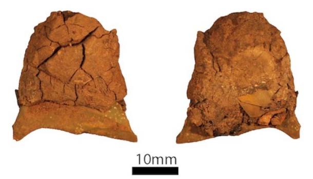 47,000 years of Aboriginal Heritage Was Destroyed in Mining Blast ...