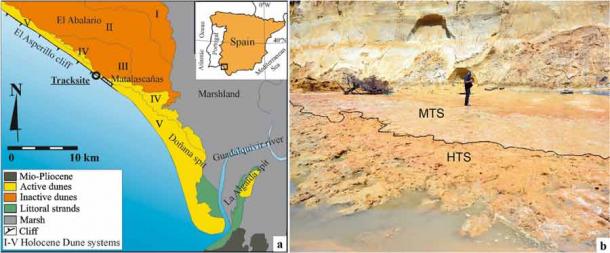 100,000-Year-Old Neanderthal Footprints - Dancing, Hunting, Or Noodling ...