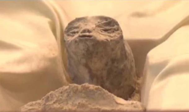 ‘Non-Human’ Bodies Presented at Mexican Congress | Ancient Origins