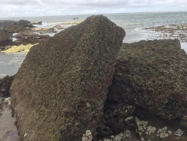 2,000-Year-Old Lost City of Rhapta May Have Been Found in Tanzania ...