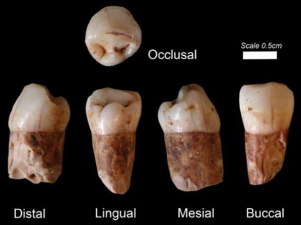 New Shocking Clues Into Human Origins From Qesem Cave | Ancient Origins