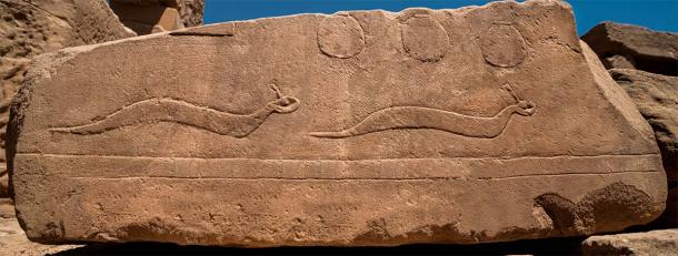 Scroll Reveals Ancient Egypt Had Many More Venomous Snakes Than Today ...