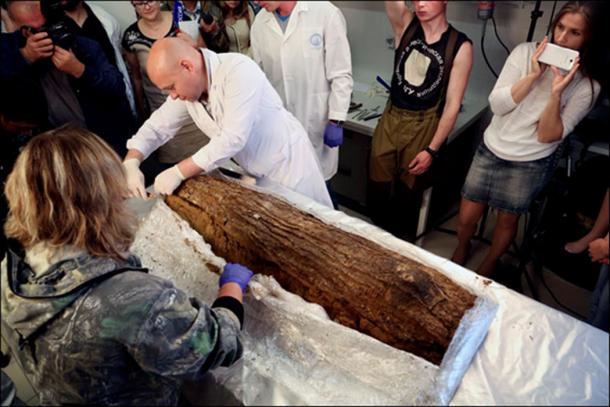 Are You My Mummy? DNA Tests to Seek Modern Relatives of 800-Year-Old ...