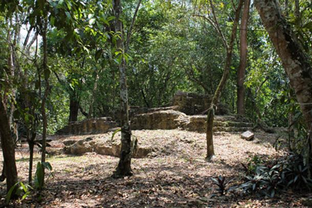 Dozens of Ancient Maya Farms Revealed by Laser Scanning | Ancient Origins