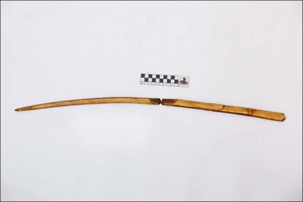 Is This Proof Early Man Weaponized Ivory from Woolly Mammoth Tusks to ...