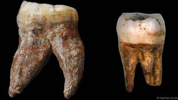 Prehistoric teeth found in China may point to mysterious new human ...