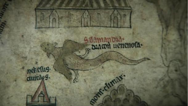 Hereford Mappa Mundi: Legendary Cities, Monstrous Races, and Curious ...