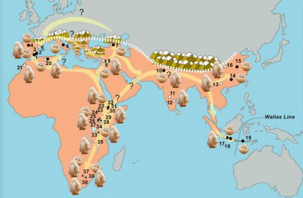 New Dating Places the First European Hominids in Southern Iberia ...
