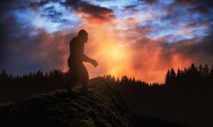 50 Years of Scientific Evidence for the Existence of Bigfoot | Ancient ...