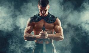 The Gladiators Priscus and Verus: Equal they Fought, Equal they Yielded ...