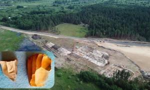 10,000-Year-Old Mesolithic Burial Showed Special Reverence For Infant ...