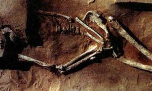 Mungo Man’s Remains Returned For Reburial to His Aboriginal Ancestors ...