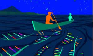 Study Traces Epic Polynesian Migration to the Pacific Islands | Ancient ...