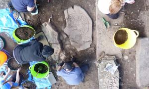 Striking Pictish Dragon Carving Discovered During Storms in Orkney ...