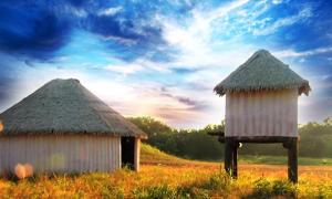 Ancient Chickasaw Culture & the Muskogean Clan System | Ancient Origins