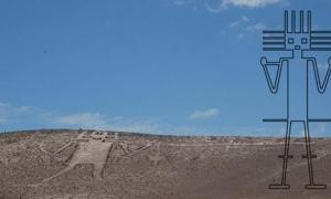 Amazonian Mummified Parrots Discovered in the Atacama Desert | Ancient ...