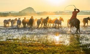 Commemorative Disc from 894 AD Maya Ball Game Found at Chichén Itzá ...