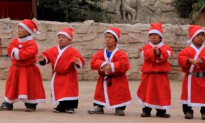 Hard Evidence of Neolithic Little People In Scotland, Hawaii, Indonesia ...