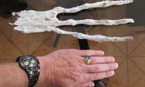 hand | Ancient Origins