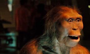 Lucy | Ancient Origins