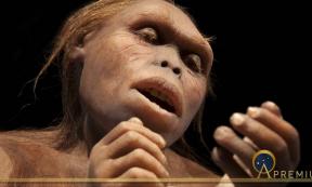 Mitochondrial Eve | Ancient Origins