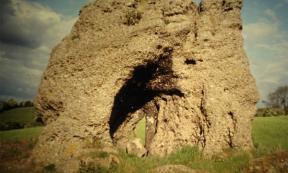 druid | Ancient Origins