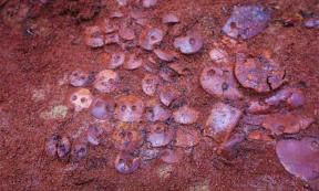 Copper Age | Ancient Origins