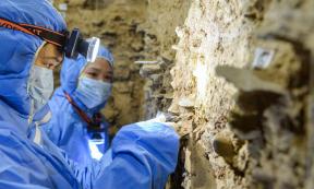 Two Faces of a Denisovan Revealed and Explained | Ancient Origins