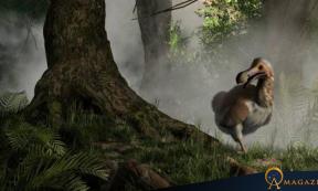 dodo bird | Ancient Origins