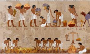 Human Bones Were Ground into Flour to Make Bread in 16th Century France ...