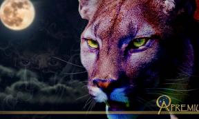 the puma man | Ancient Origins