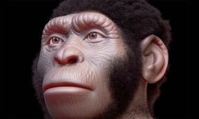 Shocking Evidence Homo Naledi Used Fire 230,000 Years Ago | Ancient Origins