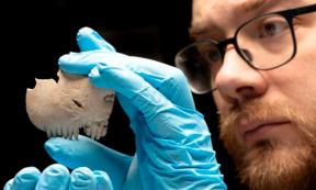 comb | Ancient Origins