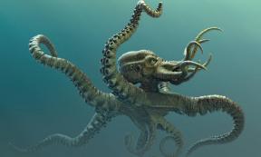 Legendary sea monsters of the past may not be myth after all | Ancient ...