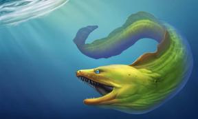 Have the Ancient Origins of Scotland’s Loch Ness Monster Been ...