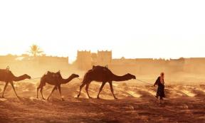 Spectacular Gold Treasures of Ancient Africa Revealed | Ancient Origins