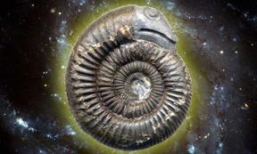 serpents | Ancient Origins